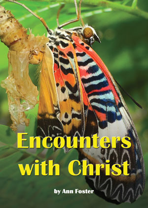 April 2016 – The Burning Bush